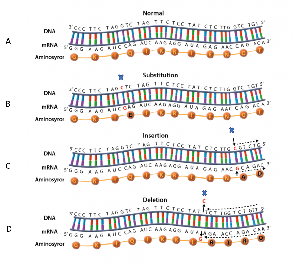 Genetisk variation – Gentekniknämnden